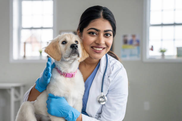Dr Subitha Sunil | Veterinary Gynaecology | DrPET Online