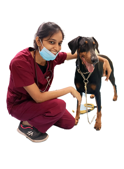 Dr ASHI R KRISHNA | Veterinary Medicine | DrPET Online