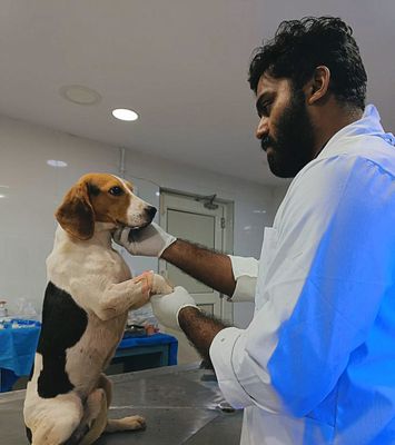 Dr Akash Raj | Veterinary Medicine | DrPET Online