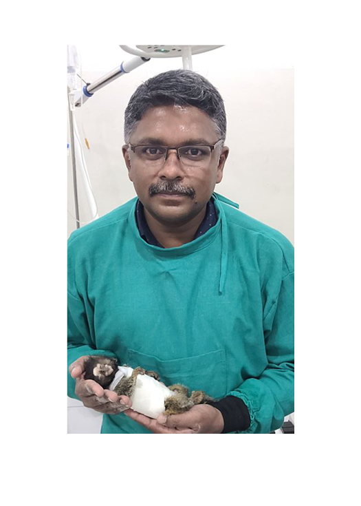 Dr Ajith Pillai | Veterinary Surgery | DrPET Online