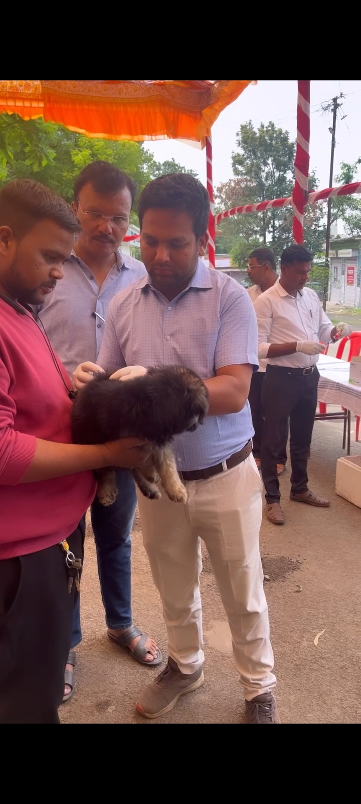 Dr Parihar | Veterinary Surgery | DrPET Online